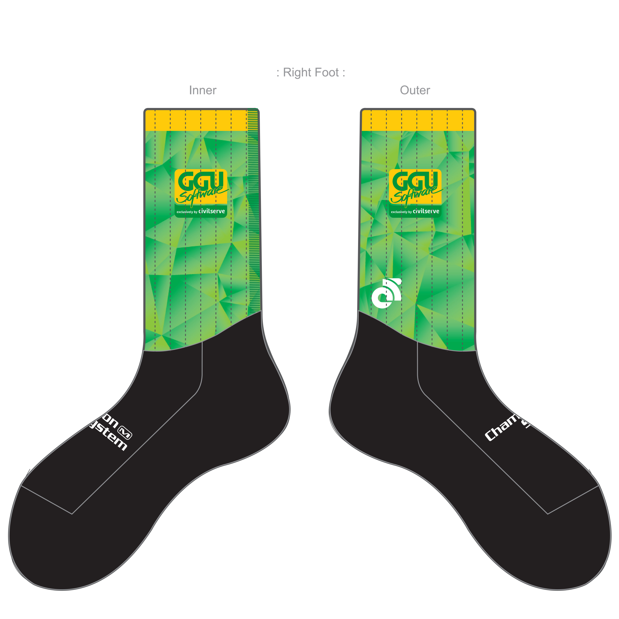 APEX Aero Race Socks – Champion System Germany