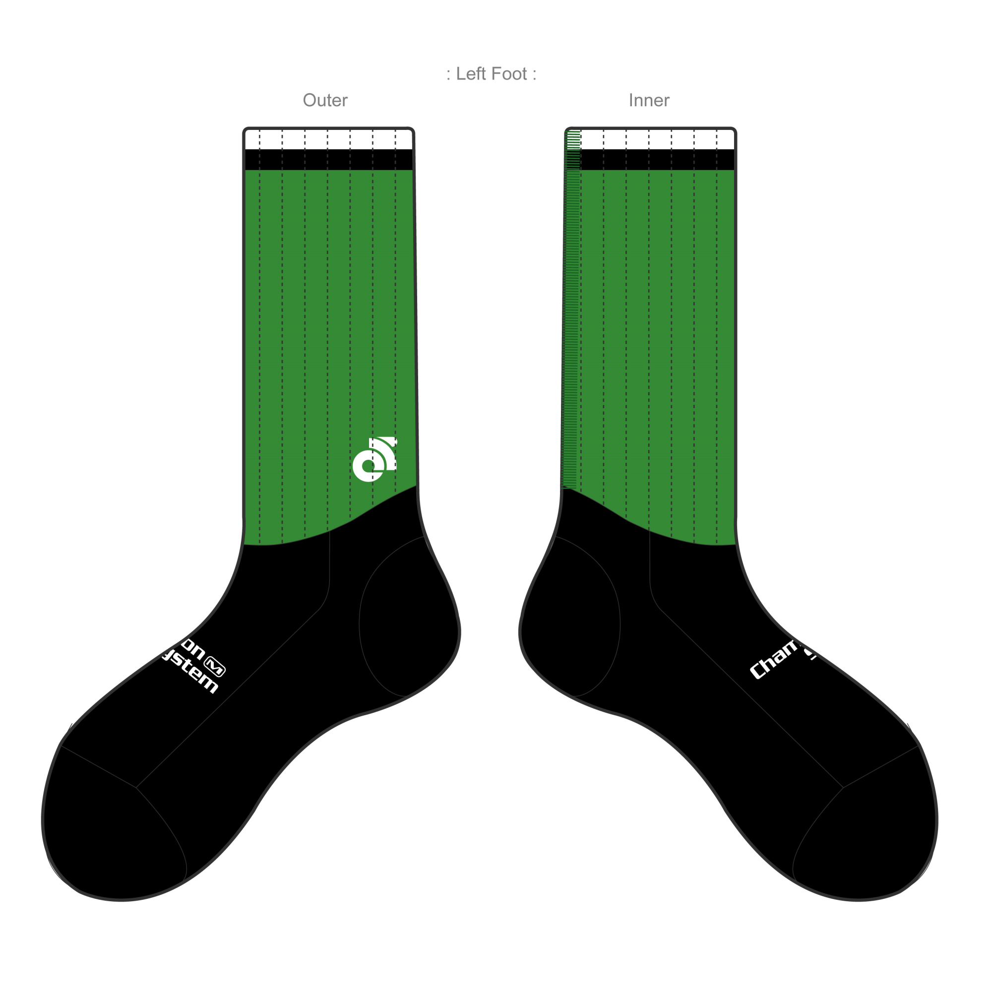 APEX Aero Race Socks – Champion System Germany